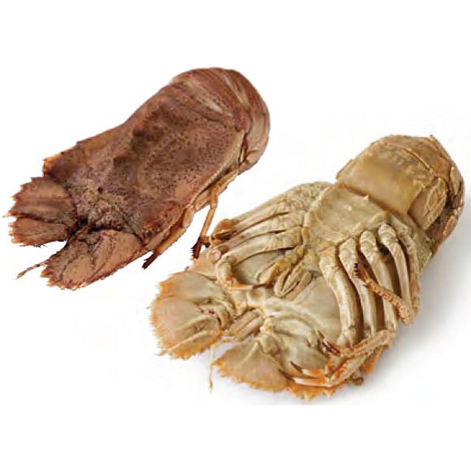 Seafood Supplier Malaysia | Fresh Yields Sdn Bhd